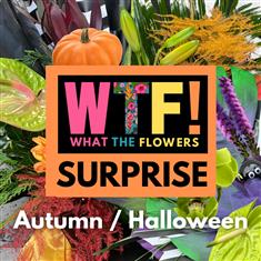 WTF! Autumn Surprise